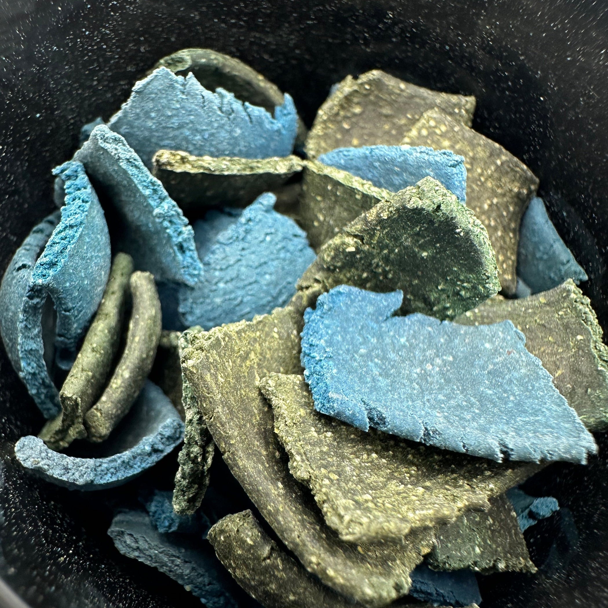 Snail-licious by Fishios | Premium Canadian Aquarium Snail Food